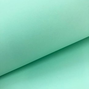 Papel Color Plus 180g Ref 95 Thaiti