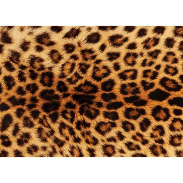 Papel com Estampa Onça Animal Print Ref 5042