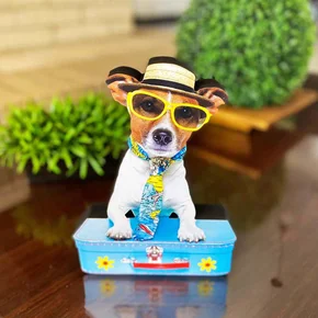 Dog Mala em MDF Estampa
